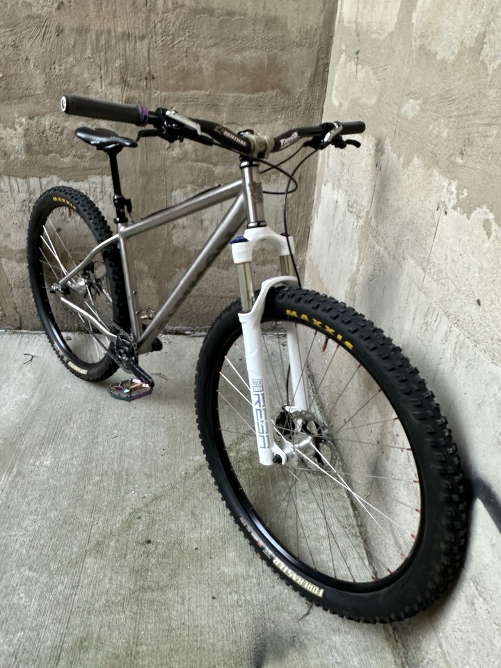 Custom Titanium 29er Hardtail SS MTB - only 23 lbs! | eBay