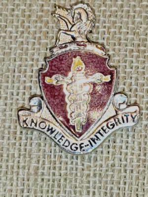 Vintage US Army Veterinary Command Crest Pin | eBay