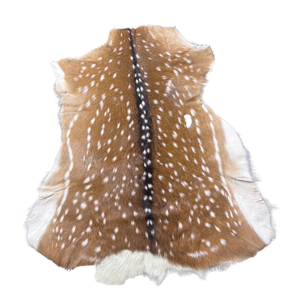 Axis Deer Hide - Rug Grade Chital Deer Hide - Real Axis Deer Skin ...