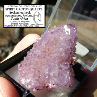 SPIRIT CACTUS QUARTZ AMETHYST CRYSTAL in perky box SOUTH AFRICA 2003 | eBay