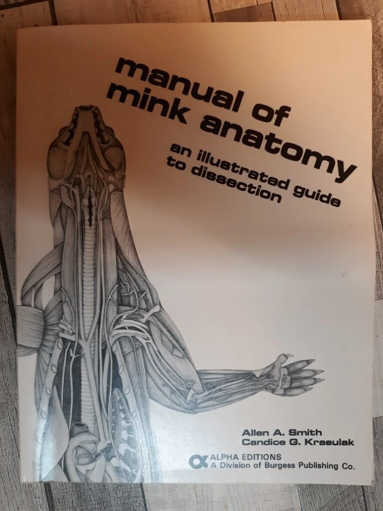 Mink Dissection