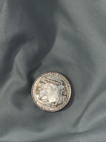 2016 Error Coin Theodore Roosevelt | eBay