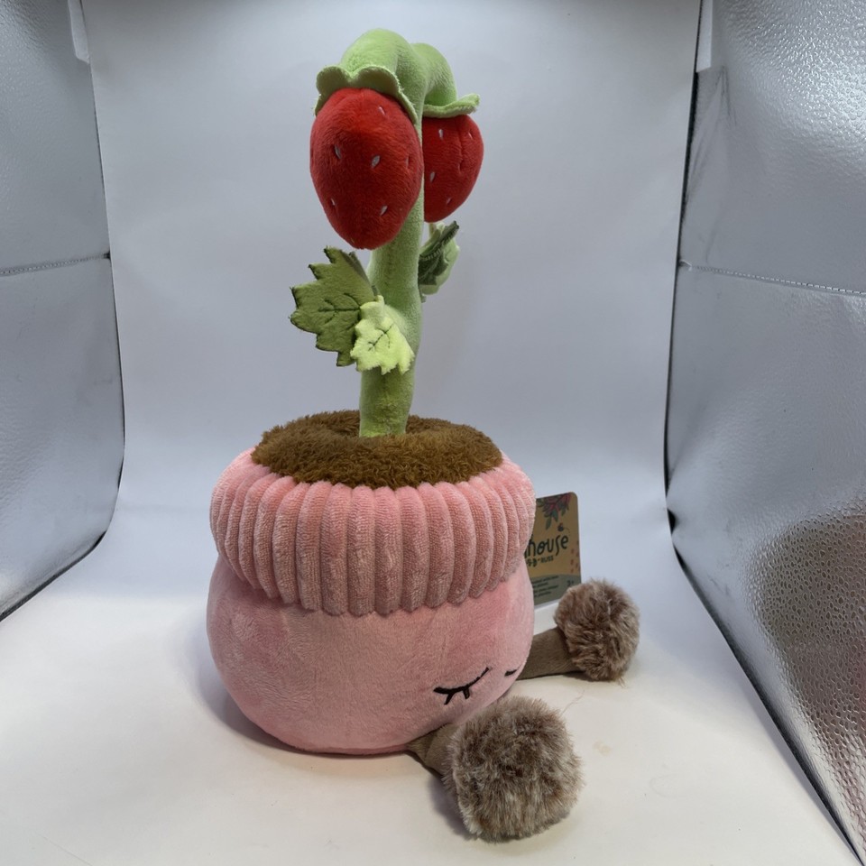 Greenhouse by Russ 12" Inch Potted Fuzzy Strawberry Plant Pot Decor ...