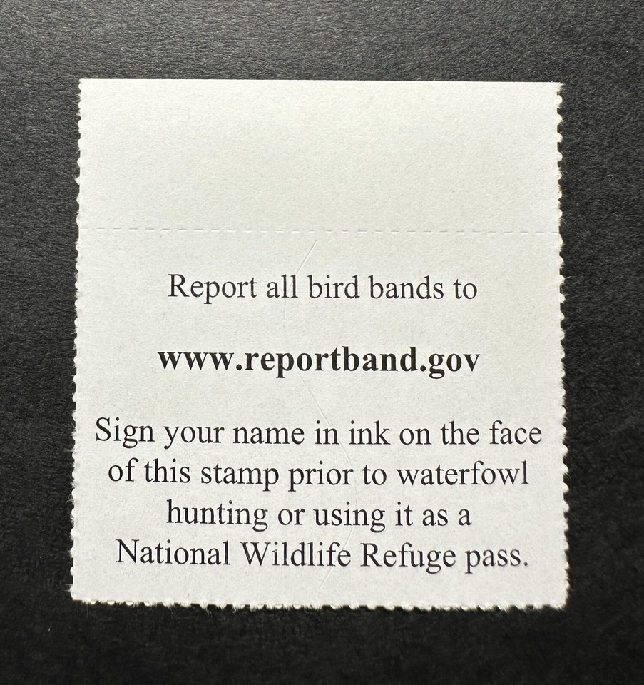 WTDstamps - #RW91 2024 - US Federal Duck Stamp **CHUCK BLACK** Mint OG ...