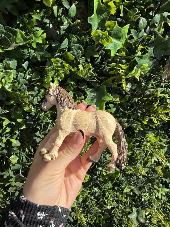 Papo 38817 Fairy pony ENCHANTED WORLD Figurine, Multicolour, Standard ...