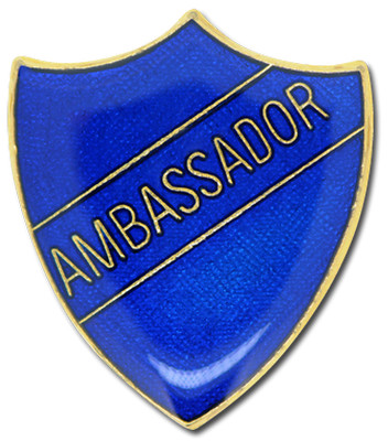 Ambassador Pin Badge in Blue Enamel Shield | eBay UK