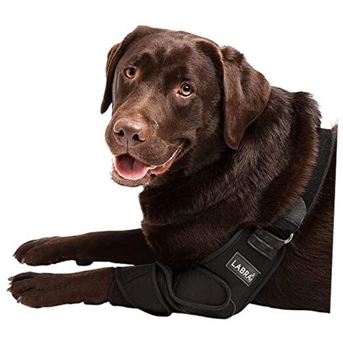 Dog Canine K9 Shoulder Elbow Callus Pain Relief Brace - Hot Large ...