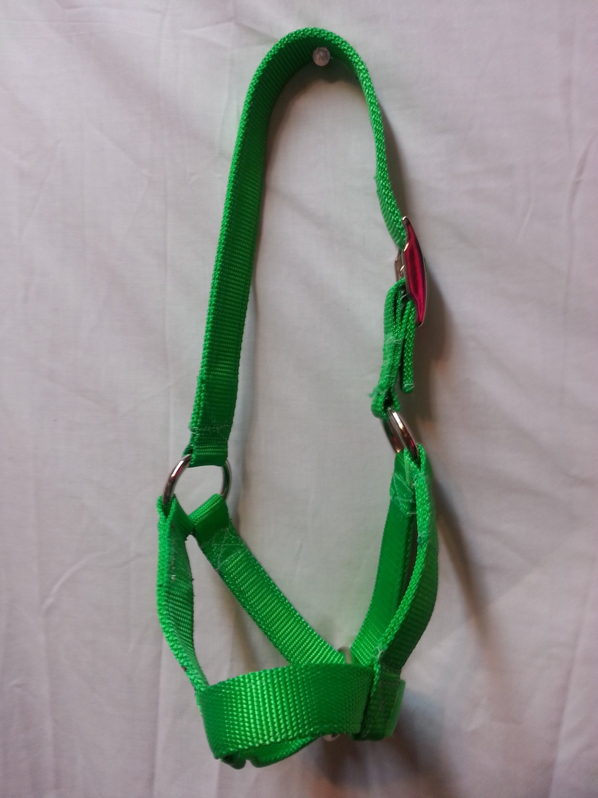 Cattle Halters Bull, Cow, Yearling, Calf, Newborn Nylon Halter Hand ...