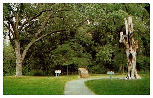 Postcard ROAD SCENE Diamond Missouri MO o/19 AR2708 | eBay