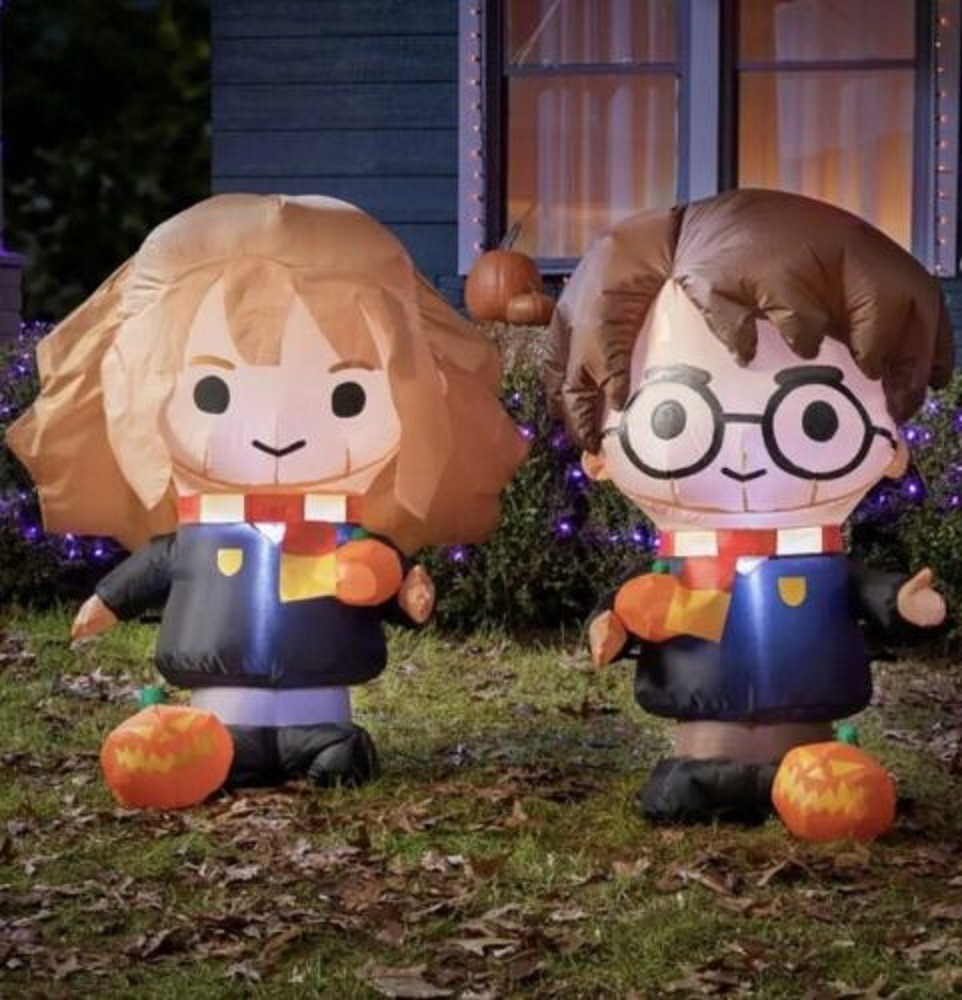 Harry Potter Pumkin Book Character Pumpkins 🎃#harrypotter