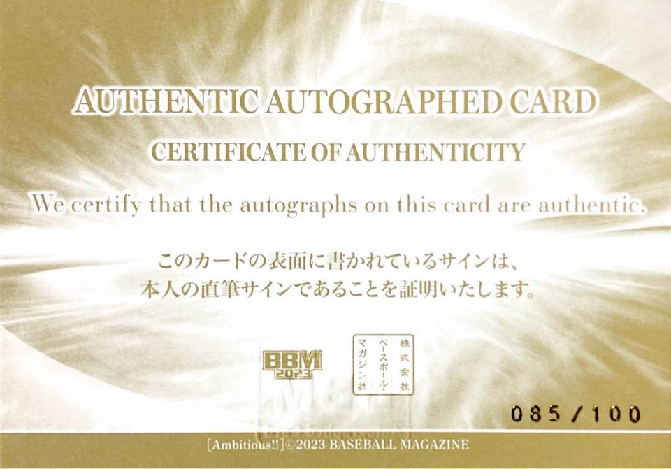 Tomoka&Azusa Inaba 2023 BBM Wemen Pro-Wrestling Card Auto /100 -Near ...