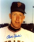 BOB BOLIN VINTAGE SAN FRANCISCO GIANTS SIGNED 8X10 | eBay