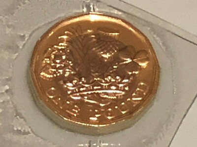 2020 £1 One Pound Coin Floral Symbols Of The UK Uncirculated UK BUNC ...