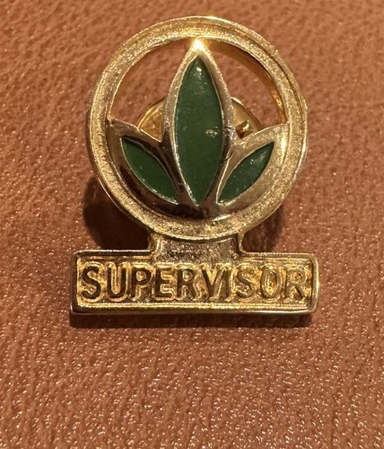 Vintage Herbalife Lapel VEST JACKET Pin SUPERVISOR BROOCH EMPLOYEE ...