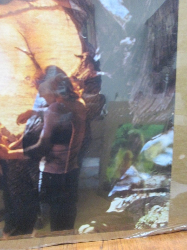 Sea Fantasy Hot Girl poster Models 1970's vintage poster Inv#G3594 | eBay