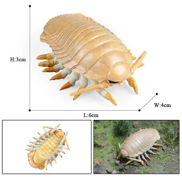 Sea Isopod Animal Toy PVC Action Figure Doll Kids Toys Party Gifts | eBay