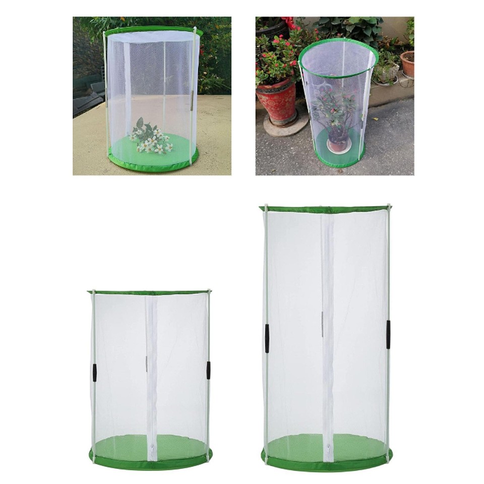 Butterfly Mesh Cage Foldable Net Frame Clear Mesh Cage for Outdoor ...