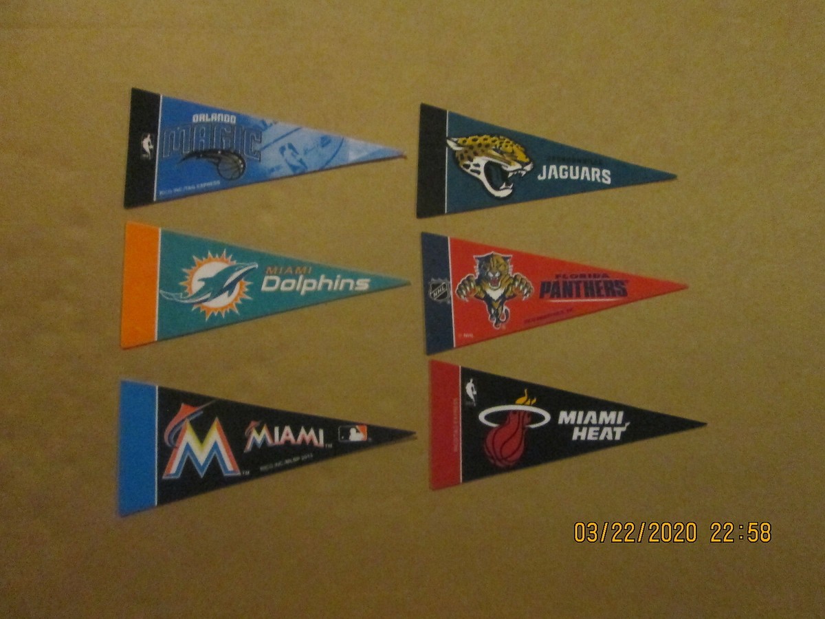 Florida Basketball Teams Logo Miami Heat Court