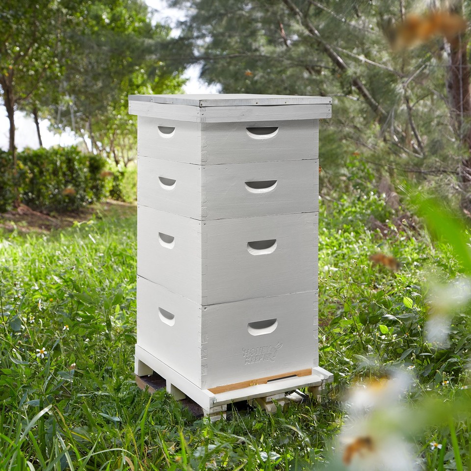 Beehive Kit Fully Assembled and Painted - 10 Frame Kit, 2 Deep, 2 ...