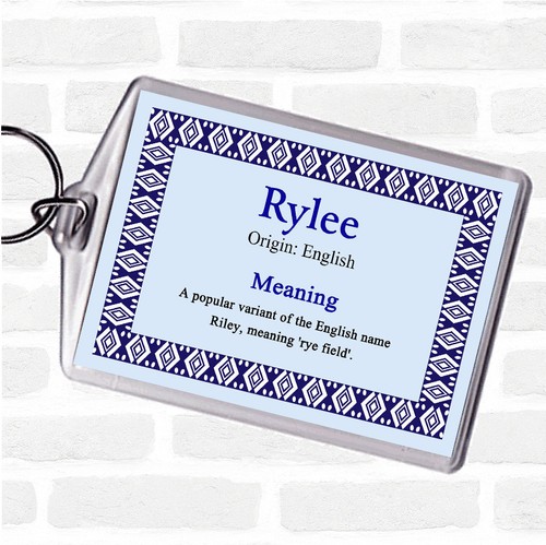 Rylee Name Meaning Bag Tag Keychain Keyring Blue | eBay