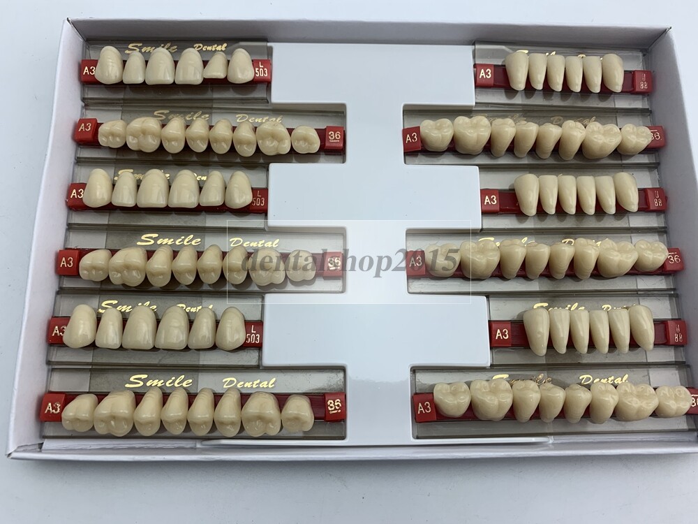 503 shade A3 dental denture full set acrylic resin teeth upper lower ...