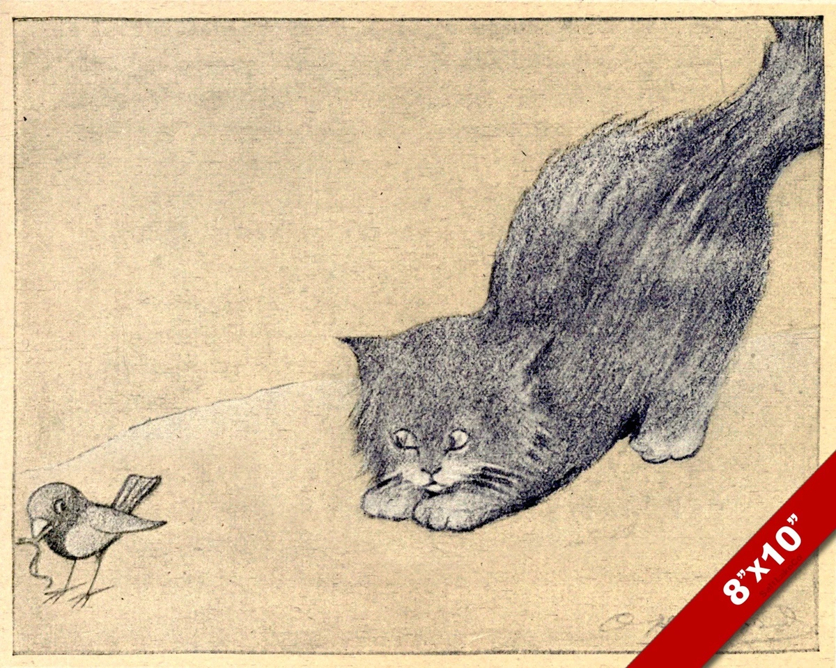 Kitten Pouncing Drawing