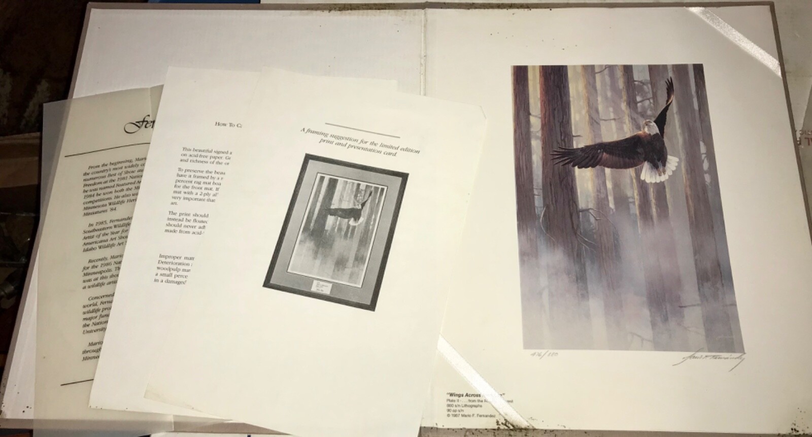 Mario F Fernandez 1987 Lithograph Wings Across America 476/880 Signed ...