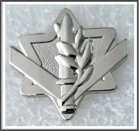 Israel Defense Forces (IDF) Preliminary resistor lapel pin badge | eBay