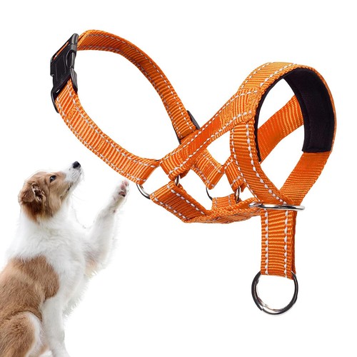 Gentle Halter Leash Gentle Leader Head Collar No Pull for Training Dog ...