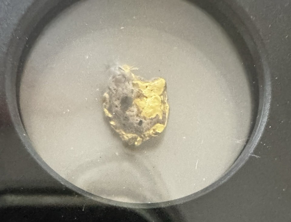 NGC Vault Box Mexico Gold Nugget Caborca 1.25g Unvaulted | eBay