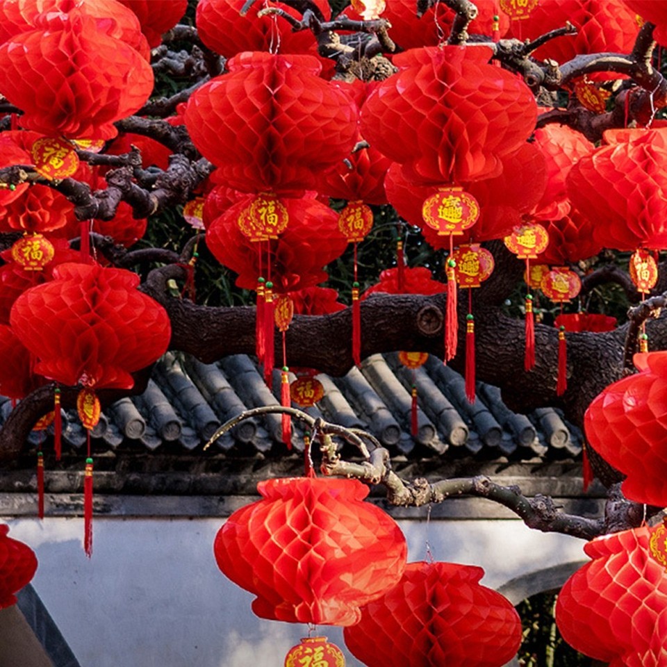 Red Lanterns Paper Lanterns Traditional Waterproof 10Pcs Outdoor ...