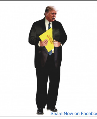 DONALD TRUMP TOP SECRET DOCUMENTS CONFIDENTIAL CLASSIFIED CARDBOARD ...