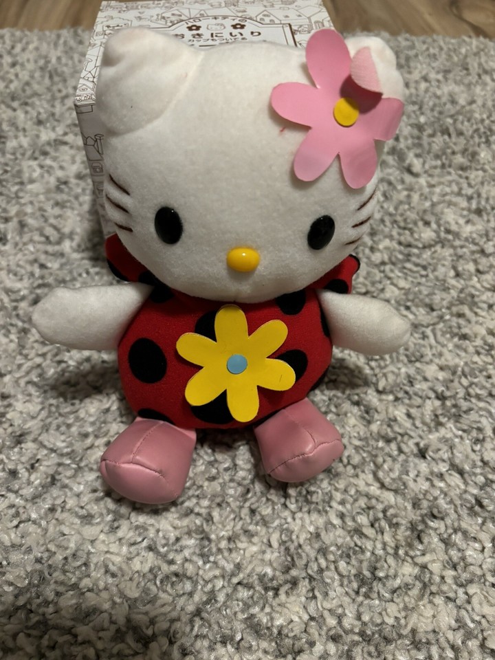 Vintage Hello kitty ladybug | eBay