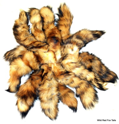 Glacier Wear Wild Red Fox Tails Or Keychains fxx1620 | eBay