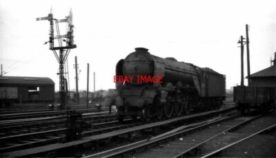 PHOTO LNER GRESLEY A3 PACIFIC 60097 'HUMORIST' THE ONLY A3 TO HAVE ...
