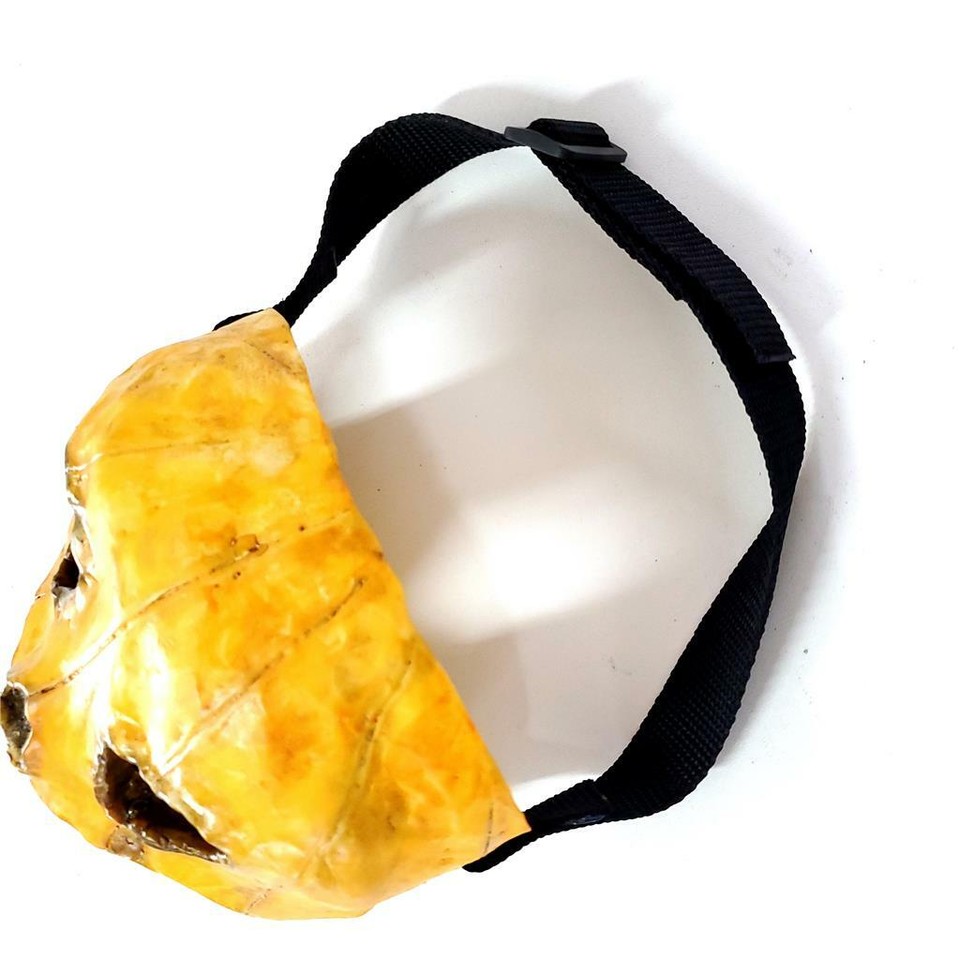 Dead Head Props HALLOWEEN HORROR Mask - Realistic Resin "Rotten ...