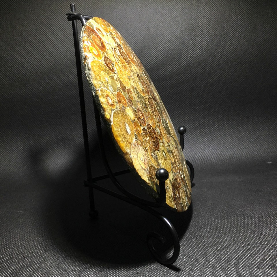 Natural Ammonite Disc Fossil Conch Specimen Healing +Stand 1PC | eBay