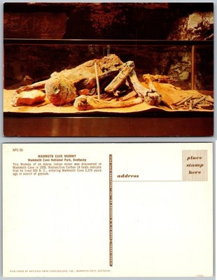 Mammoth Cave Mummy Kentucky Postcard | eBay