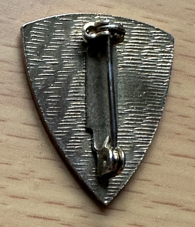 MIRAMAR Ski Club Skiing Pinback Pin | eBay