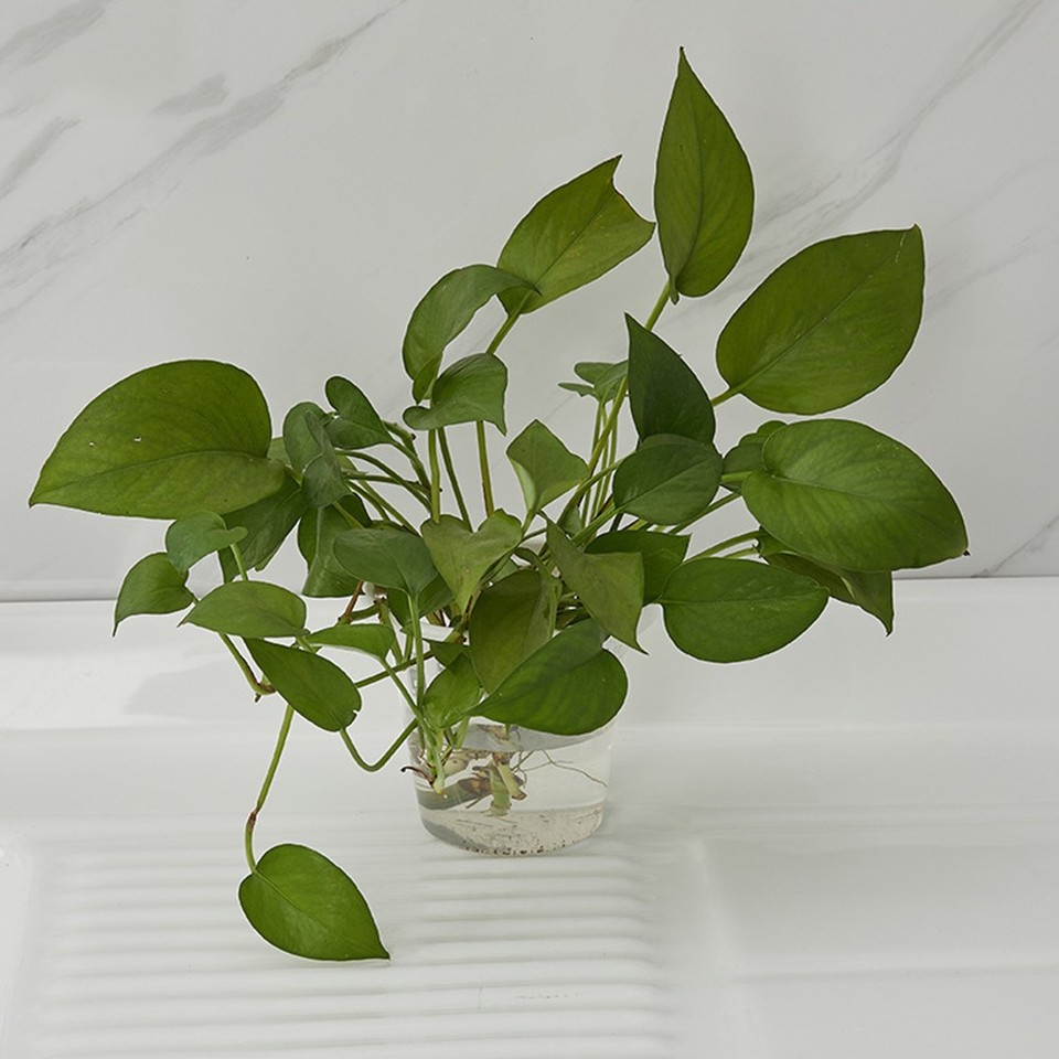 3 Count Wall Planter Outdoor Balcony for Indoor Plants Plastic ...