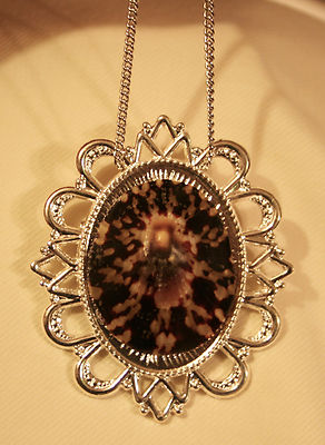 Striking Festoon Raised Speckled Natural Shell Silvertne Pendant ...