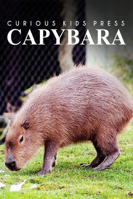 Curious Kids Pr Capybara - Curious Kids Press: Kids book about anima (Tascabile) | eBay