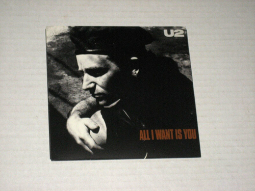 45rpm U2 all i want is you PICT SLEEVE/SLEEVE ONLY/NO RECORD nice SEE ...