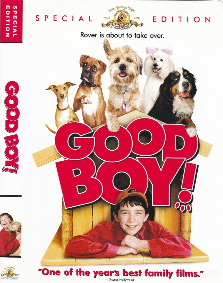 Good Boy! (DVD, 2009, Full Screen) Liam Aiken 27616902825| eBay