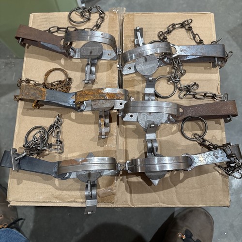 Lot Of 6 NEW Duke # 0 Long Spring Traps Gopher Free Shipping!!! | eBay