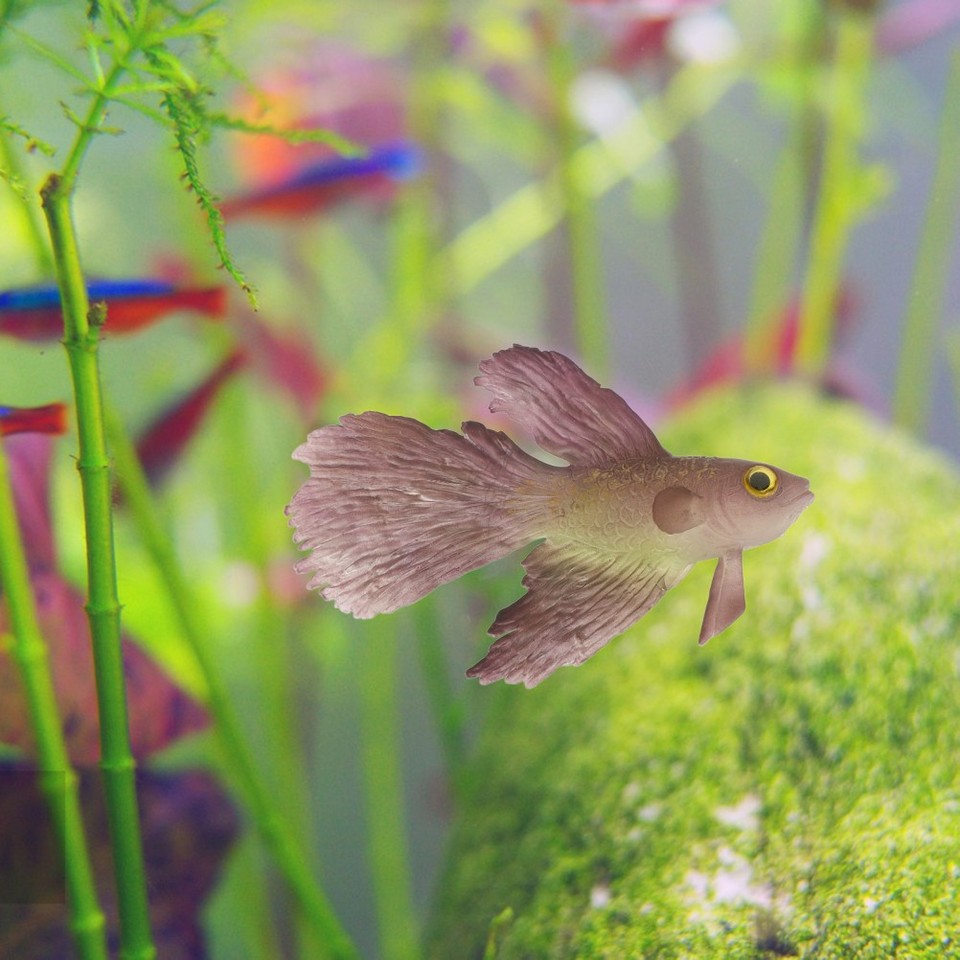 3 Pcs Simulated Colored Fish Small Tank Decor Decoration Fresh Water ...