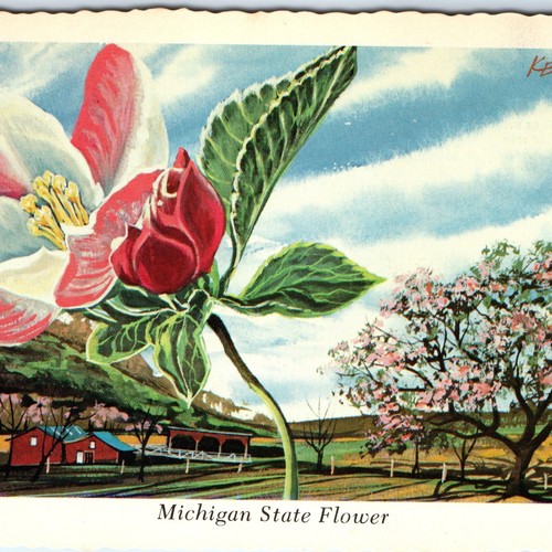 1973 MI Michigan Flower Apple Blossom Farm Barn Ken Haag Painting Art ...