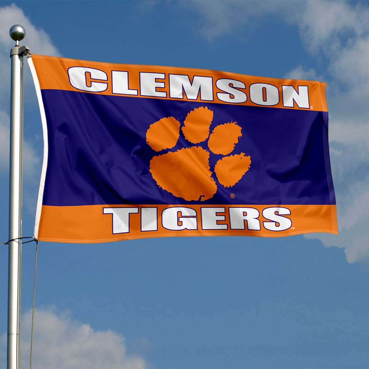 Clemson Tigers Wordmark Flag Large 3x5 | eBay