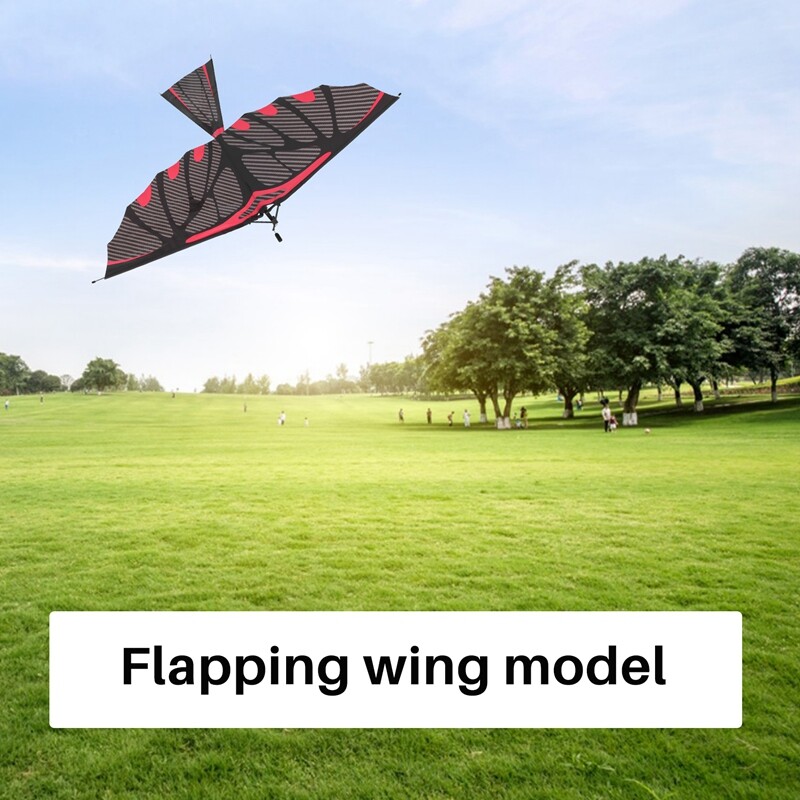 Carbon Fiber Model Aircraft Assembly Flapping Aircraft Diy Model ...