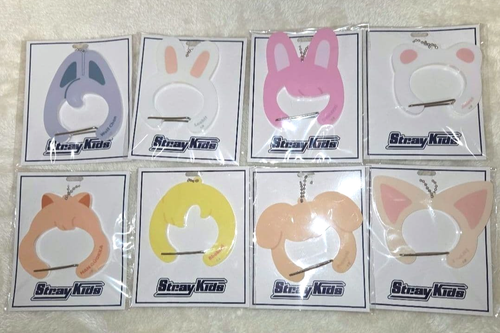 Stray Kids Skzoo Carabiner Keychain Complete Set Jyp Japan Popup Store ...